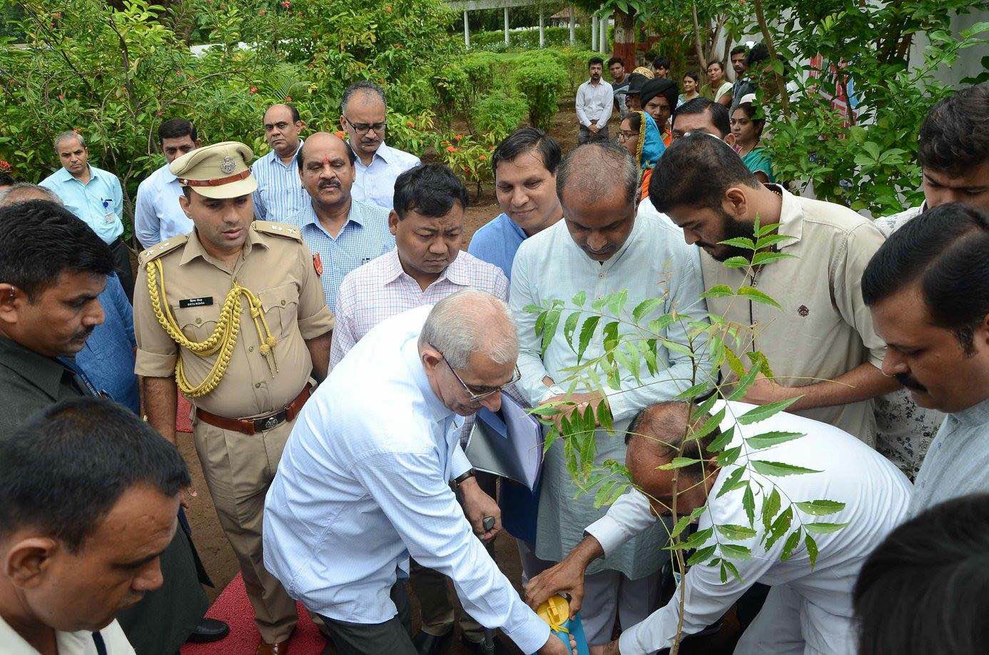 Tree Plantation at Raj Bhavan Gujarat